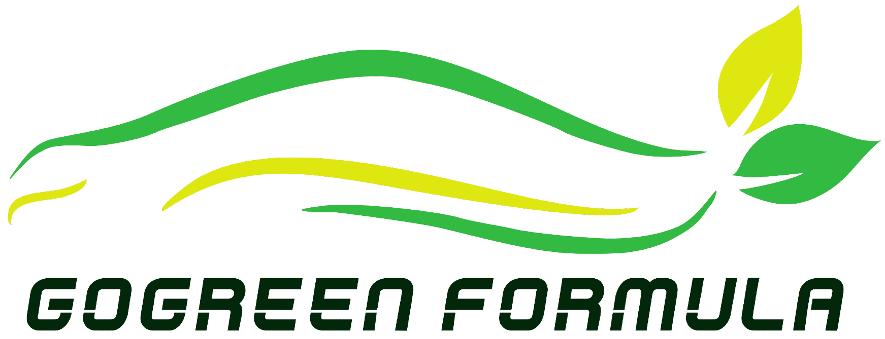 VEHICLE E/E ENGINEERING – GO GREEN FORMULA